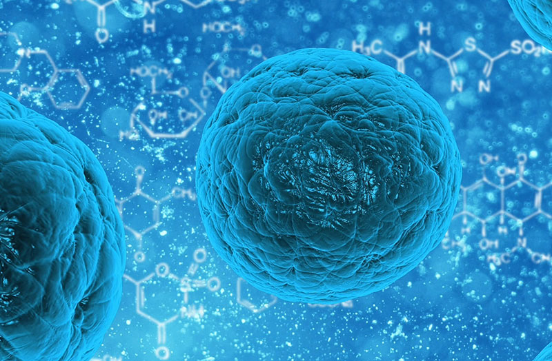 Scure - 아픔예방 연구소 에스큐어